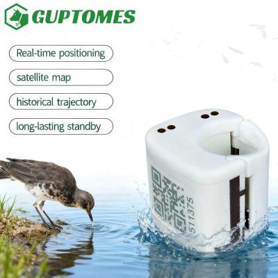 중국 GPS+LBS 새용 미니 GPS 추적기 80mAh 2G 네트워크 실시간 위치 판매용