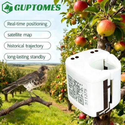 중국 C형 듀얼 충전 소형 새 GPS 추적 장치 판매용