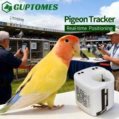 China 5.4g Ultra Lightweight Parrot GPS Tracking 20x20mm Small Bird GPS Tracker Device for sale