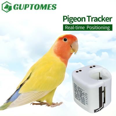 China Dual Type-C Charging Parrot Tracker Daily Waterproof With 80mAh Long Standby for sale