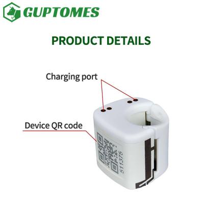 China GPS LBS Dual Mode Bird Parrot GPS Tracker 2G With Flight Path And Historical Trajectory for sale