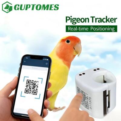China GPS LBS Dual Mode Bird Parrot GPS Tracker 2G With Flight Path And Historical Trajectory for sale