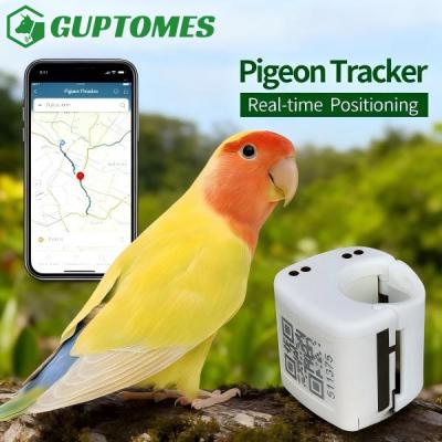 China Compact 5.4g Parrot GPS Tracker 24 - 48hrs Battery Life For Outdoor Use for sale