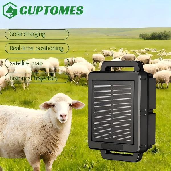 Quality GPS BDS AGPS Multi Mode Livestock Sheep Tracker GPS Solar Tracking Device For for sale