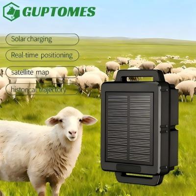 China Solar Charging GPS Sheep Tracker IP68 10000mAh Livestock Asset Tracking GPS Tracker for sale