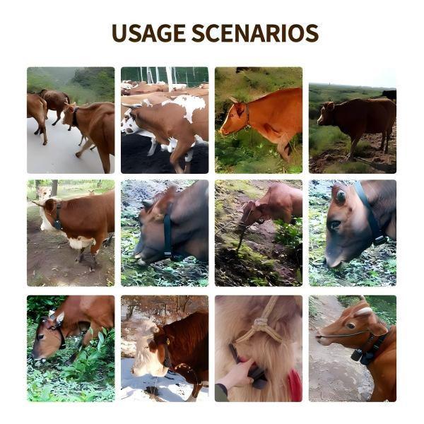 Quality Multi Mode Robust Animals GPS Tracker 20000mAh GPS Cattle Tracking System for sale