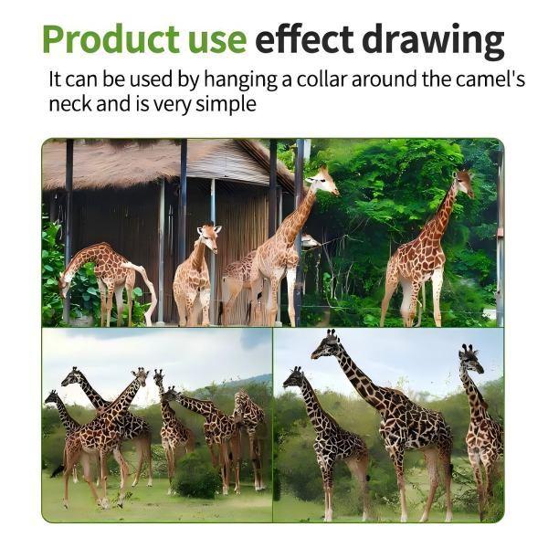 Quality CE Approved Standby Wildlife GPS Tracker For Giraffe Real Time Tracking for sale