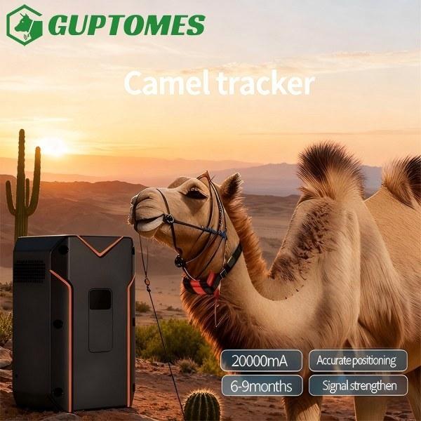 Quality Voice Intercom Camel Tracking Device With Geo Fencing Real Time Historical for sale