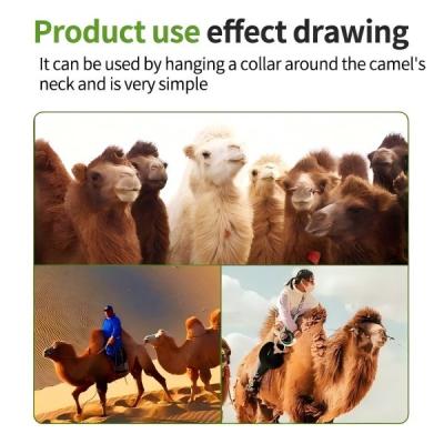 China 20000mAh Camel GPS Tracker 412g Compact GPS For Livestock Monitoring for sale