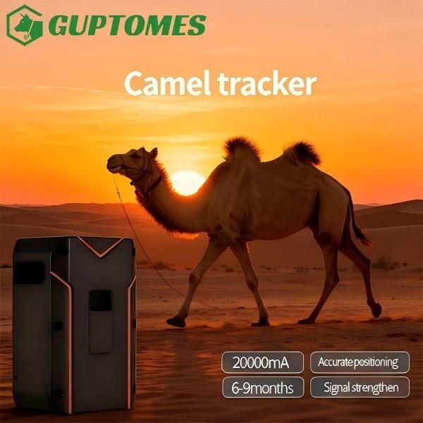 Quality Camel GPS Monitoring Solution Real Time GPS Tracking With Voice Intercom for sale