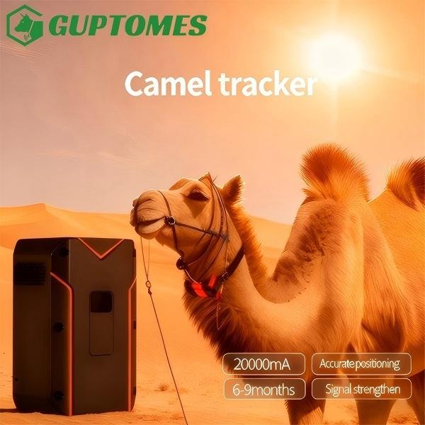 Quality High Precision Camel GPS Tracker With 20000mAh Battery And Voice Intercom for sale