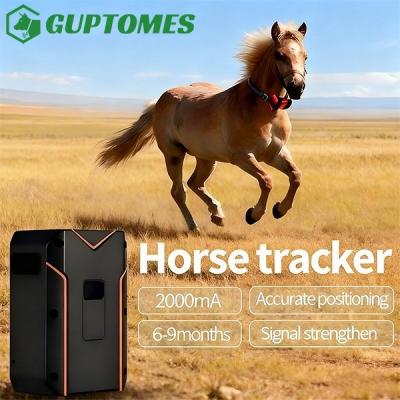 China Intercomunicador de voz Solución de monitoreo de seguimiento GPS de caballo 20000mAh Batería 412g Peso en venta