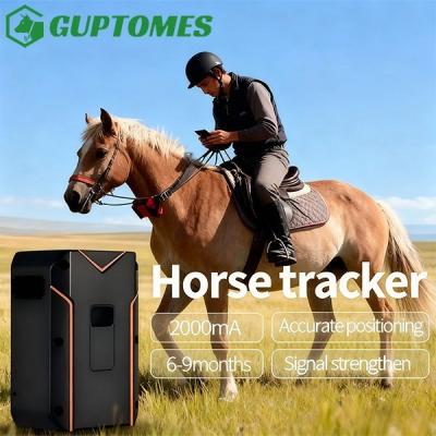 China Durable Dual Mode GPS Tracking Device For Horses GPS BDS WIFI Livestock Tracking And Geofencing for sale