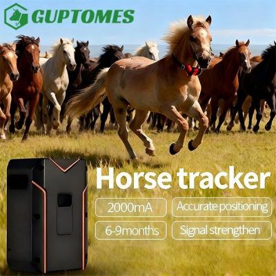 China Dispositivo de seguimiento de caballos GPS BDS para posicionamiento preciso 20000mAh Super Long Standby en venta