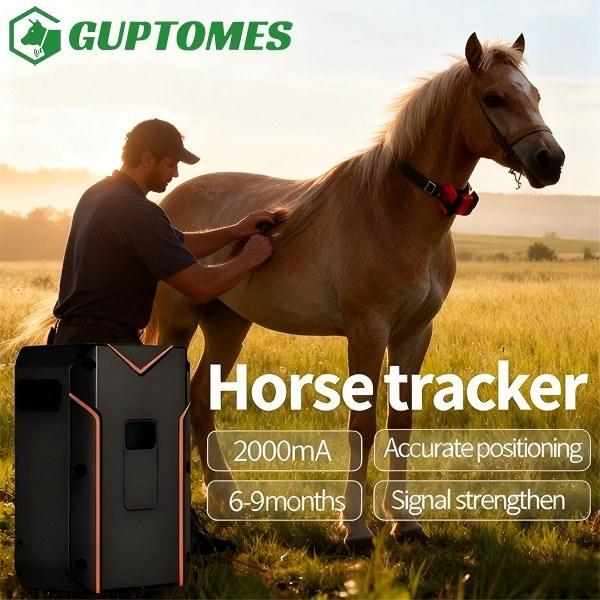 Quality 20000mAh Long Standby Horse GPS Tracker Device Multi Technology BDS / WIFI / LBS for sale