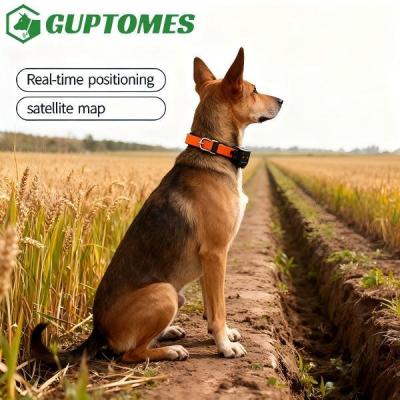 Cina Collare GPS Tracker per cani con batteria da 4000mAh Leggero Posizionamento Dual Mode GPS LBS in vendita