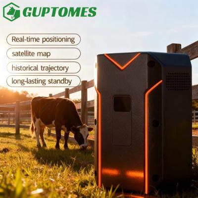 China Robuste Standby-GPS-Verfolgungsgerät für Rinder und Schafe 106x71mm für die Außenwirtschaft zu verkaufen