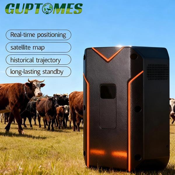 Quality Durable Super Long Standby Livestock GPS Tracker Real Time Monitoring For Cattle for sale