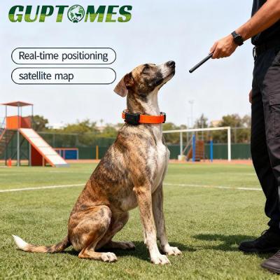 China Dog GPS Collar with Electronic Fence and Historical Trajectory for Pet Safety Monitoring for sale