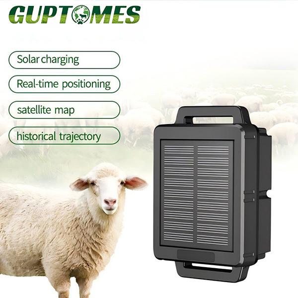 Quality High-Accuracy Solar GPS Tracker IP68 Waterproof for Sheep Livestock & Farm Asset Security for sale