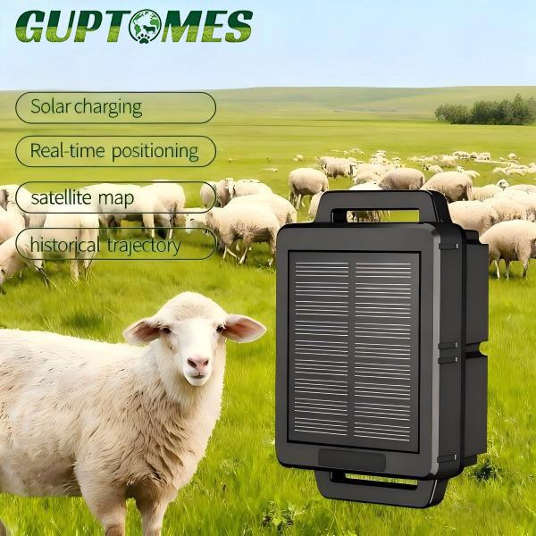 Quality GPS BDS AGPS Multi Mode Livestock Sheep Tracker GPS Solar Tracking Device For Remote Farm for sale