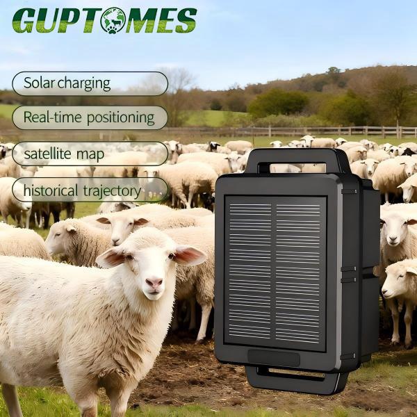 Quality IP68 Waterproof Solar GPS Tracker For Sheep 89x72x39mm 10000mAh Real Time Tracking for sale
