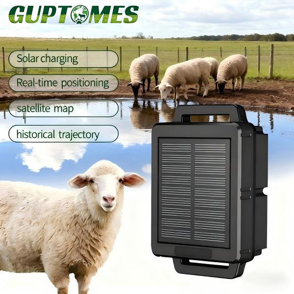 Quality High Precision Sheep GPS Tracker 10000mAh Battery Real Time Livestock GPS Tracking for sale