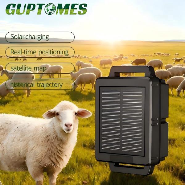 Quality IP68 Waterproof Solar Charging Sheep GPS Tracker with 10000mAh Battery for Monitoring for sale