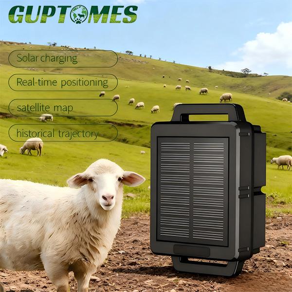 Quality Compact Lightweight Sheep GPS Tracker 258g With Geo Fence And Vibration Alarm for sale