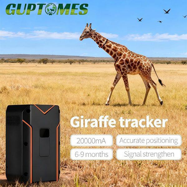 Quality CE Approved Standby Wildlife GPS Tracker For Giraffe Real Time Tracking for sale