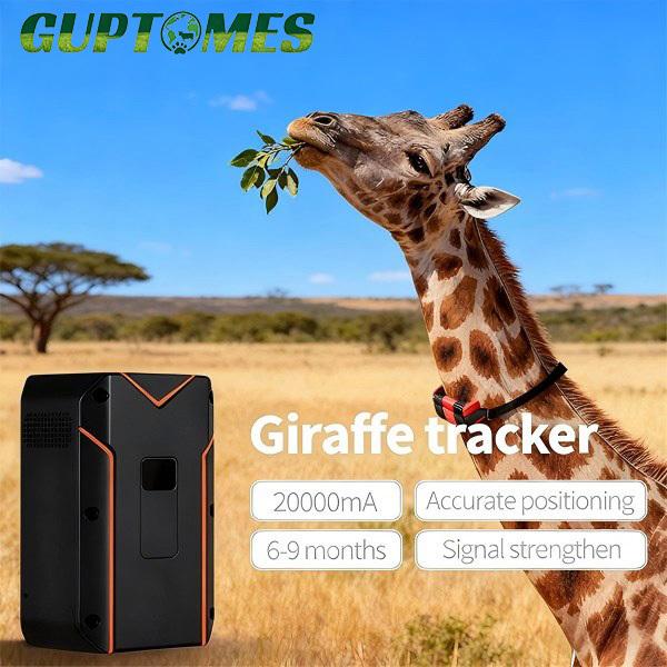 Quality Voice Intercom Giraffe Wildlife GPS Tracker High Positioning Geo Fence GPS Tracker for sale