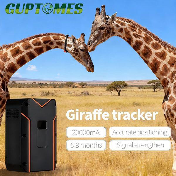 Quality Giraffe Large Wildlife Animal Tracking System 20000mAh Battery GPS BDS Tracker for sale