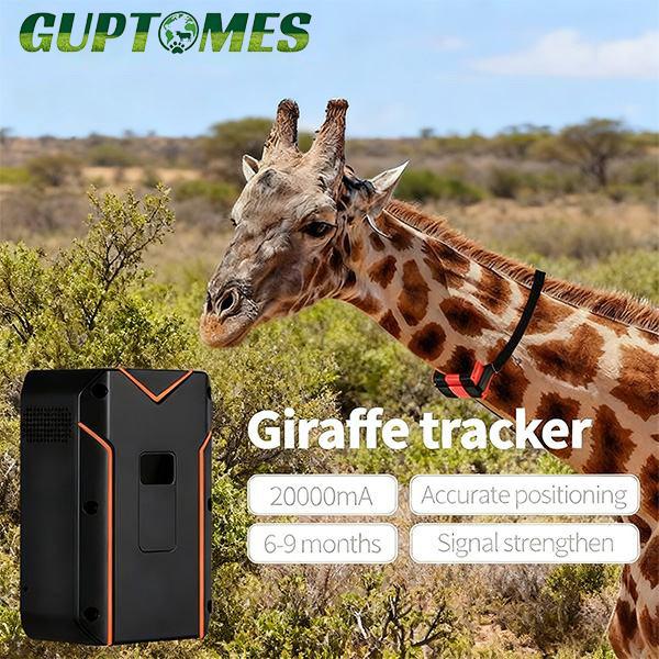 Quality Durable Dual Mode Wildlife GPS Tracker Machine With GPS LBS For Remote Area Monitoring for sale