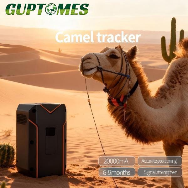 Quality 20000mAh Long Standby GPS+BDS+WIFI+LBS Camel Tracker For Accurate Satellite Positioning for sale