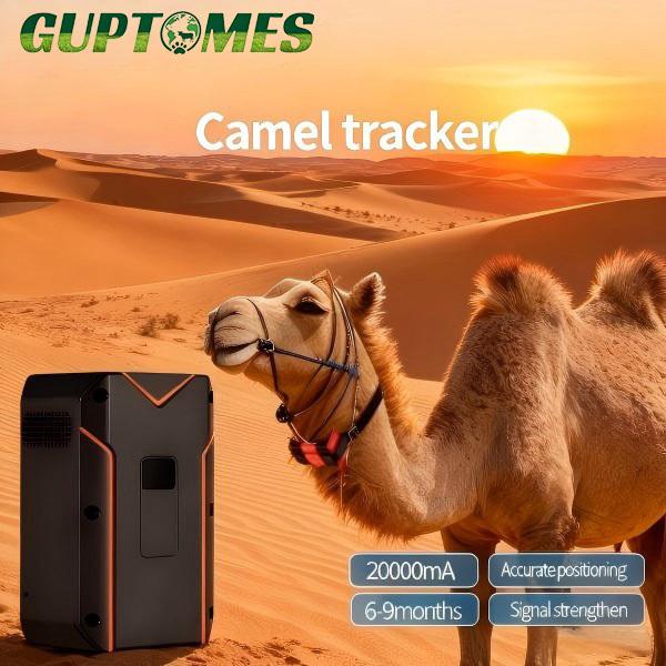 Quality Voice Intercom Camel Tracking Device With Geo Fencing Real Time Historical Trajectory for sale