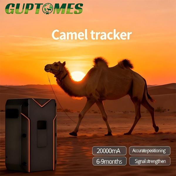 Quality 6-9 Months Standby Camel GPS Tracker With 20000mAh Battery And Voice Intercom for sale