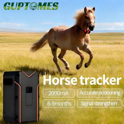 China Voice Intercom Horse GPS Tracking Monitoring Solution 20000mAh Battery 412g Weight for sale