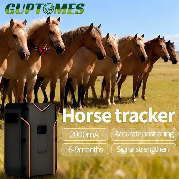 Quality Durable Dual Mode GPS Tracking Device For Horses GPS BDS WIFI Livestock Tracking And Geofencing for sale