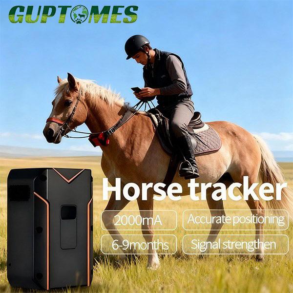 Quality GPS BDS Horse Tracking Device For Accurate Positioning 20000mAh Super Long Standby for sale