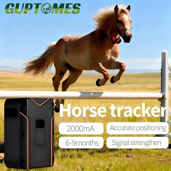 Quality 6-9 Months Standby Horse GPS Tracker 20000mAh Battery With Voice Intercom For Stable for sale