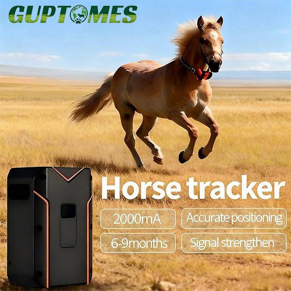 Quality Horse Livestock Animals GPS Tracker 20000mAh Battery Accurate Satellite Positioning for sale