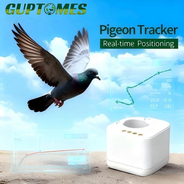Quality 2.6g Non Real Time Pigeon Tracker Ring 36hr Battery Local Encrypted Storage for sale