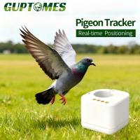 China 2.6g Lightweight Racing Pigeon GPS Tracker V13 with 38-Hour Battery and Local Storage for sale