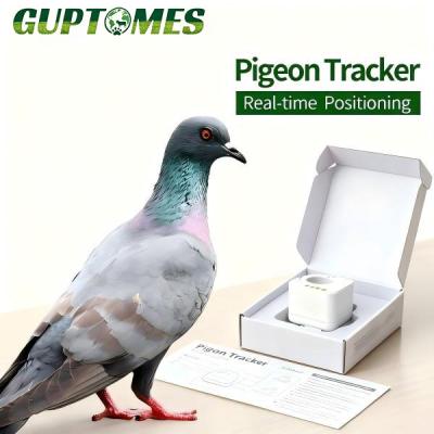 China Non Real Time Signal Lightweight Pigeon Tracking Device Ring With Public Loft Rules for sale