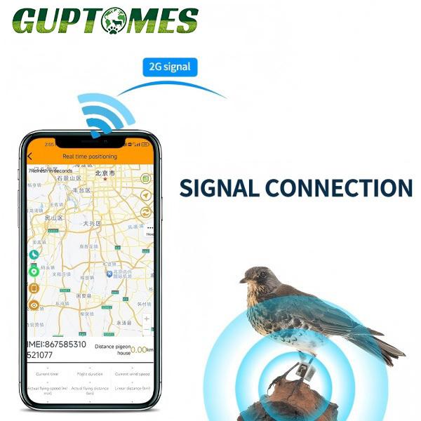 Quality Ultra-Light 5.4g GPS+LBS Bird Tracker, 2G, Real-time Positioning, Long Standby for sale