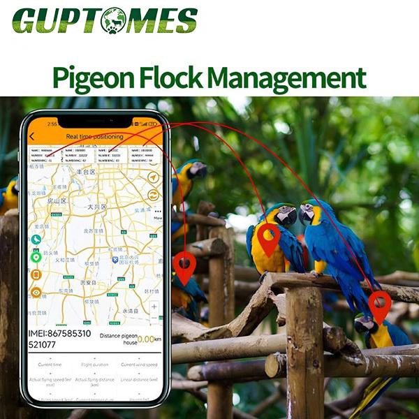 Quality Waterproof Mini Pigeon Animals GPS Tracker Device Ultra Light 5.4g GPS LBS Real Time for sale