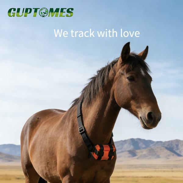 Quality 30000mAh Battery Rugged Horse GPS Tracker With GPS BDS WIFI Multi Positioning for sale