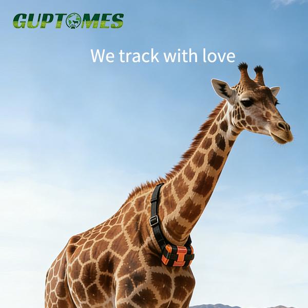 Quality Professional Wildlife GPS Tracker - 30000mAh Ultra-Long Standby, IP68 Waterproof Positioning Collar for Giraffes & Large Mammals for sale