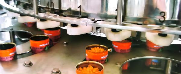 Quality 250-300 Cans/Min Automatic Can Filling Machine For Particle And Fruit / for sale