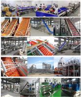 China Pineapple Canning Production Line High Efficiency Fast Speed for sale